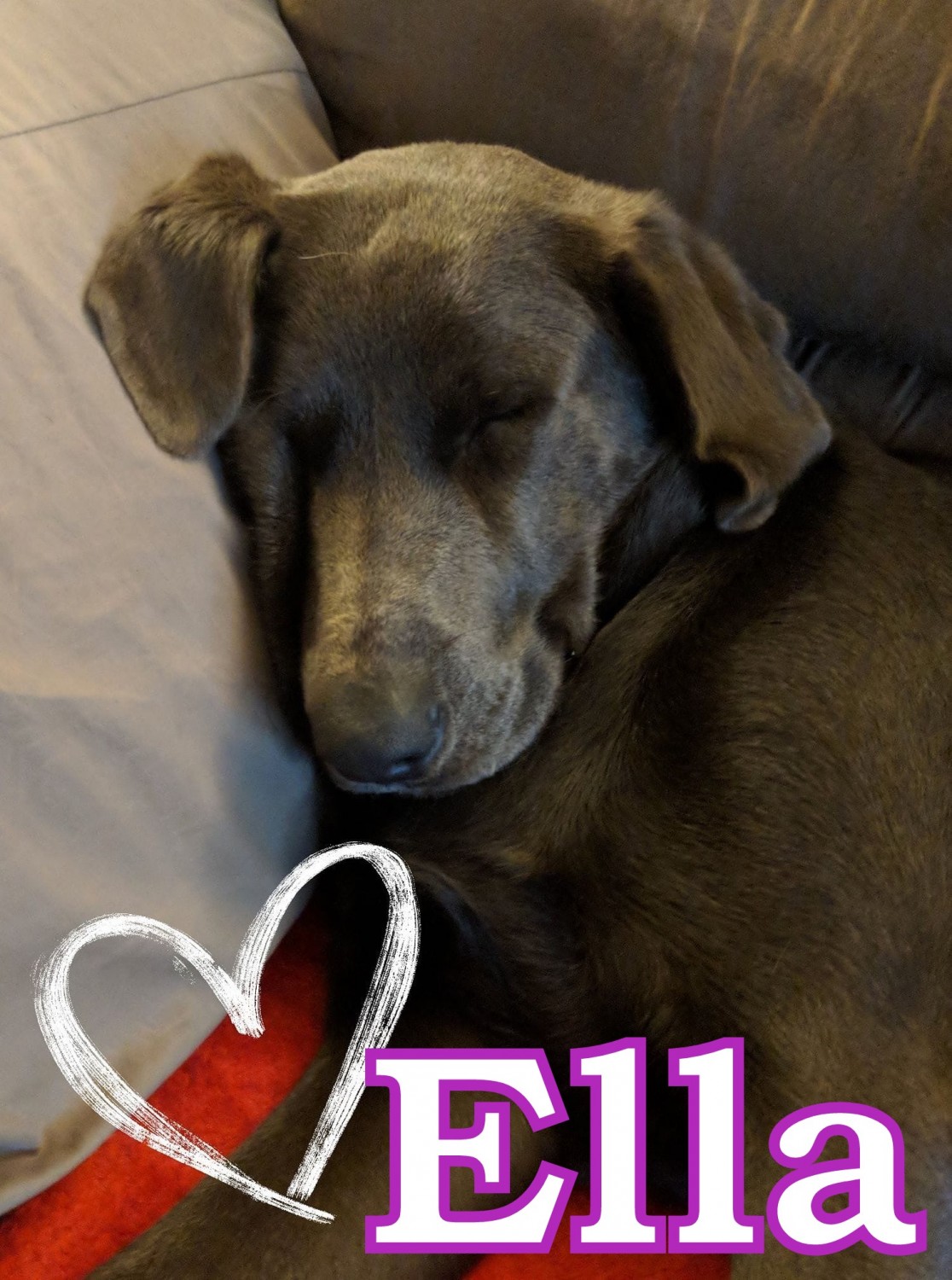 Staff - Whitehall Veterinary Service - Whitehall, WI